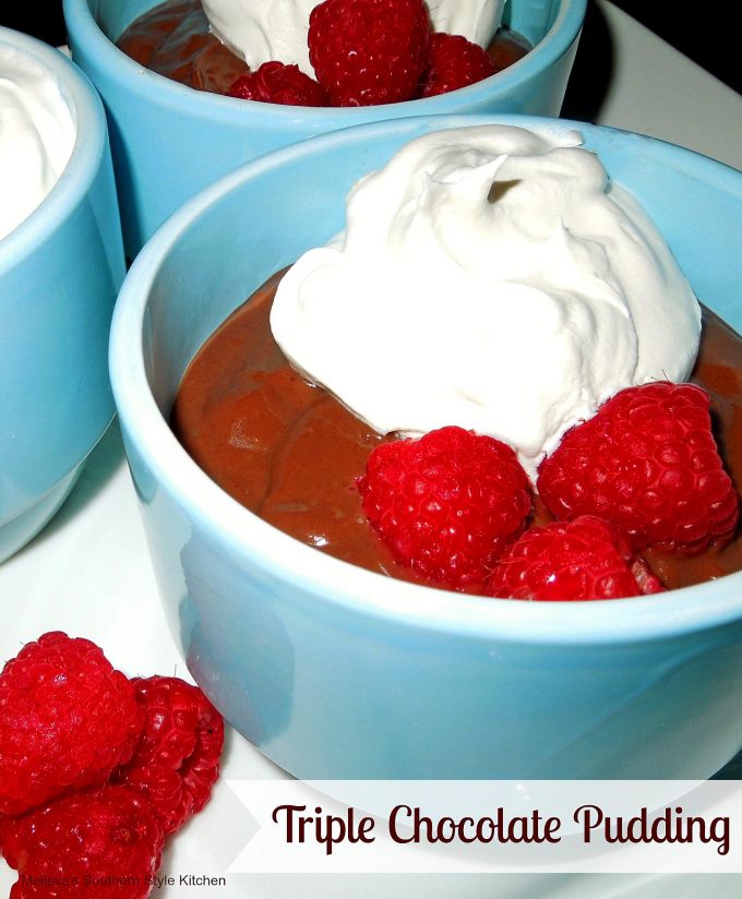 Homemade Triple Chocolate Pudding - melissassouthernstylekitchen.com