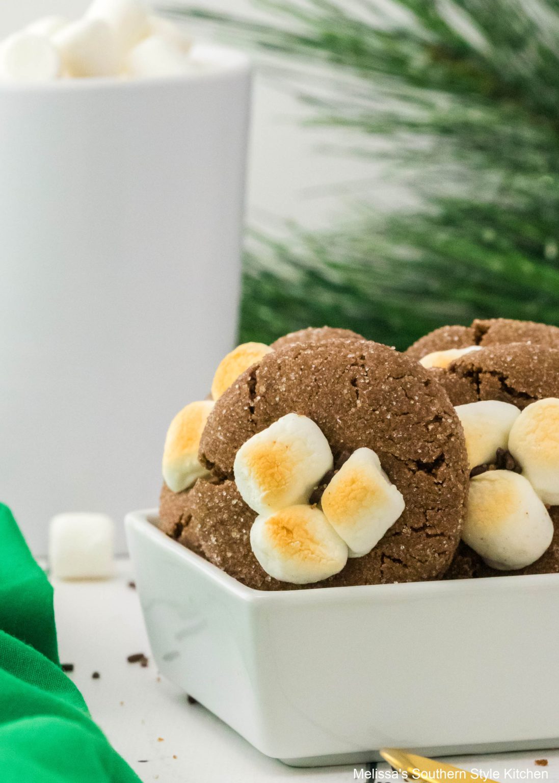 Hot Chocolate Cookies - melissassouthernstylekitchen.com
