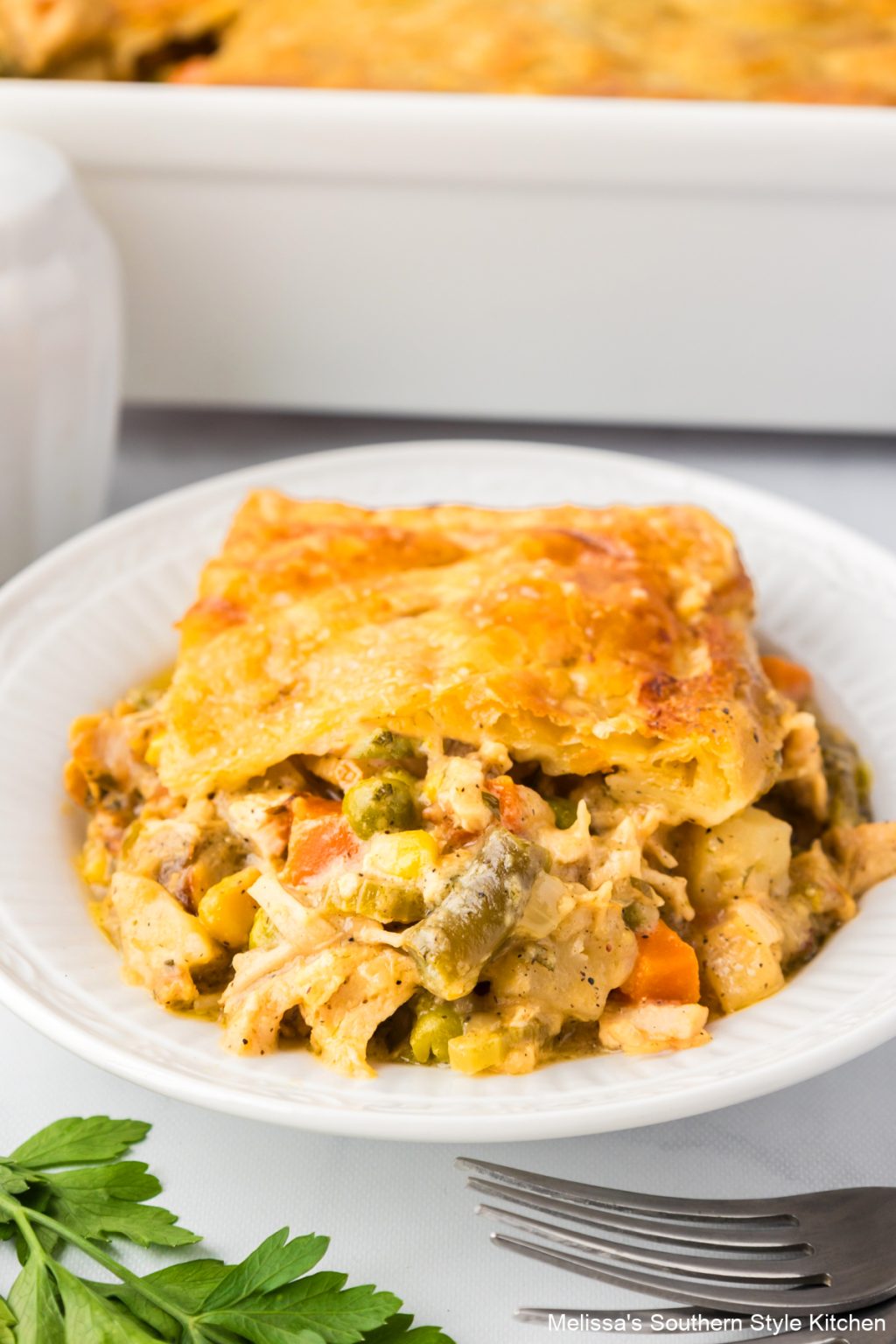 Turkey Pot Pie Recipe - melissassouthernstylekitchen.com